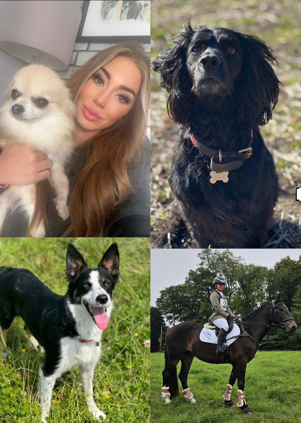 Meet the Team - Forth Coast Veterinary Clinic